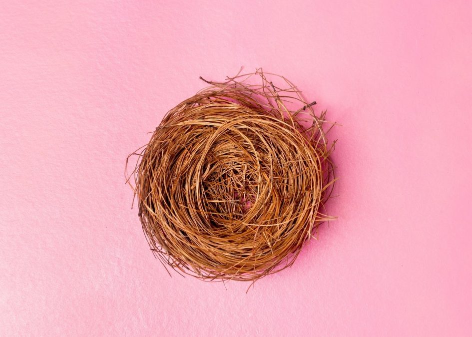 The Pregnancy Naturopath Explains: A Mother's Journey